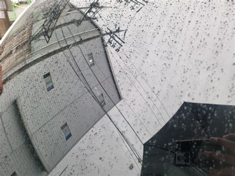 자동차 유막제거 발수코팅 시공 방법 비용 네이버 블로그