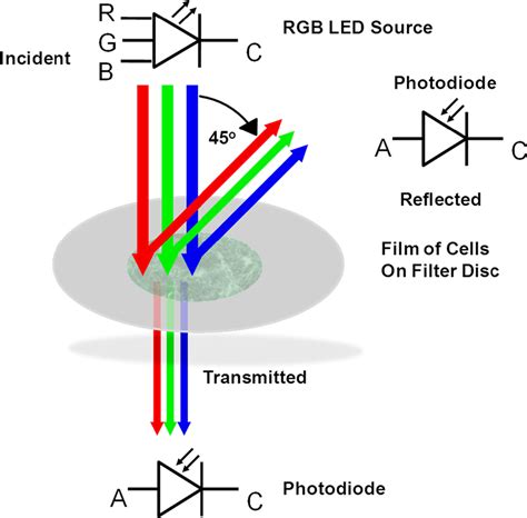Basic Arrangement Of Rgb Light Emitting Diode Rgb Led Light Source