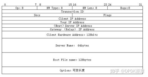 Dhcp协议原理及其实现流程 知乎