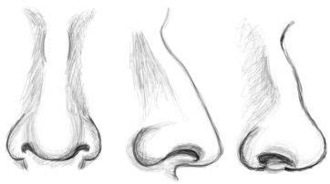 How To Draw A Simple Nose From The Front