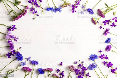 아름다운 파란색과 보라색 꽃 프레임 평면 흰색 나무 책상에 누워 복사 공간 상단보기 0명에 대한 스톡 사진 및 기타 이미지 0명 꽃 나무 꽃 식물 Istock