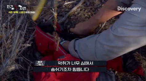 스컹크 방귀 공격에 빡쳐 칼 꺼내든 베어그릴스 인스티즈 Instiz 이슈 카테고리