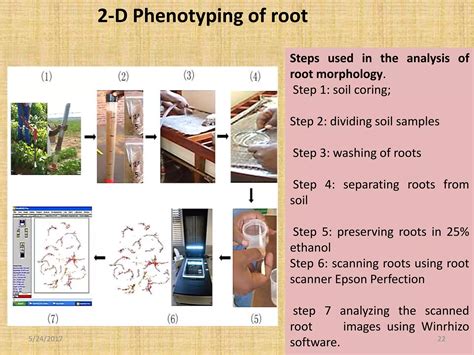 High Throughput Phenotyping Pptx