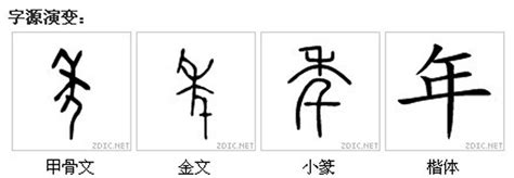 年 漢語漢字 字源演變 詳細釋義 古籍解釋 說文解字 康熙字典 字源字形 字形對 中文百科全書