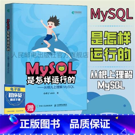 正版 Mysql是怎样运行的 从根儿上理解mysql小孩子4919高性能深入浅出数据编程开发入门计算机基础教程书籍视频介绍 正版