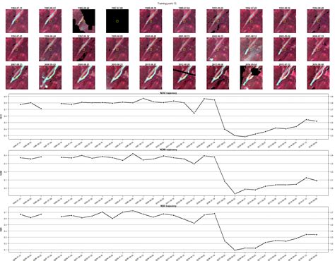 Temporal Information In Satellite Data Exercise E Trainee Course