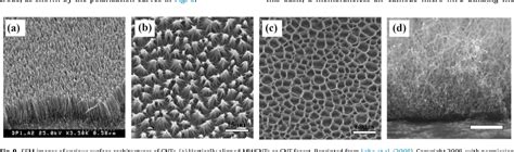 Figure 9 From Carbon Nanotube Modification Of Microbial Fuel Cell Electrodes Semantic Scholar