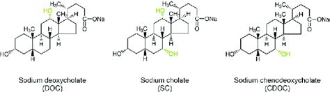 Bile Salt Surfactants Bss Used In This Paper Sodium Deoxycholate Download Scientific Diagram