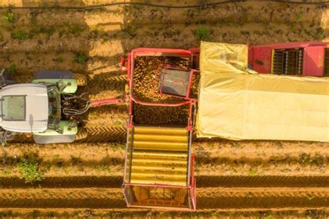 Bnhtek S Modular Machines Can Harvest Potatoes Non Destructively Krasia