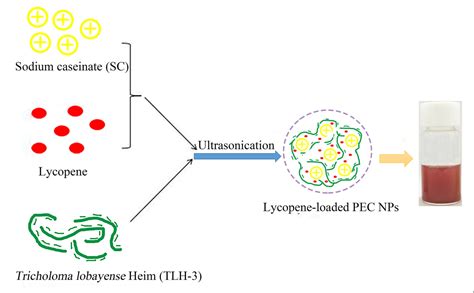 Figure 1 From Biocompatible Polyelectrolyte Complex Nanoparticles For