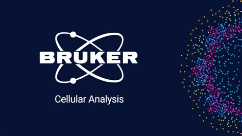 T Cell Profiling Kit Bruker Cellular Analysis