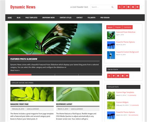 Free Wordpress Theme Dynamic News Lite