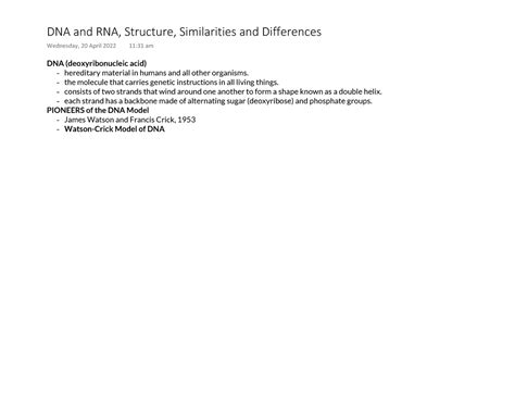 DNA And RNA Its Structure Similarities And DIfferences Studocu