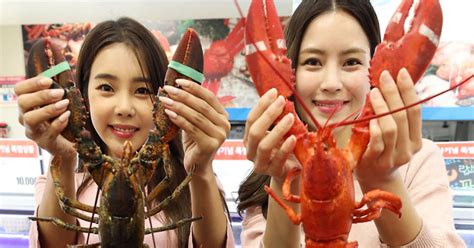 롯데마트 살아있는 랍스터 드세요