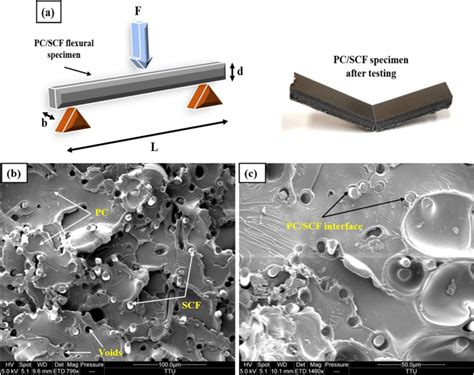 A Schematic View Of The Flexural Testing Process And Flexural Specimen Download Scientific
