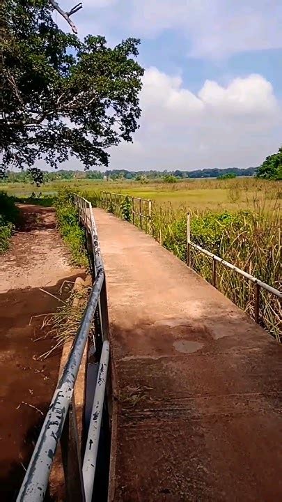 පොඩි වැව් වල පිටවාන කියන්නේ මේ වගේ තැන් වලට තමයි 🫢😍🇱🇰 Youtubeshorts Travel Srilanka Youtube