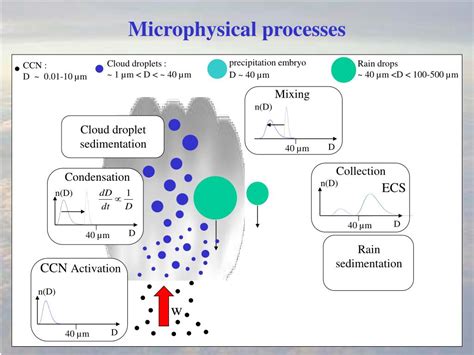 Ppt Parameterization Of Precipitation In Boundary Layer Clouds At The