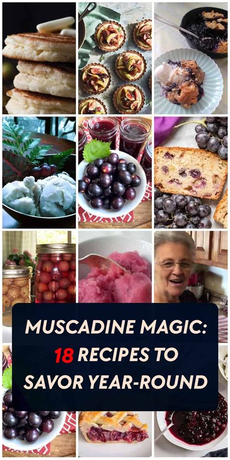 Muscadine Magic 18 Recipes To Savor Year Round In 2025 Muscadine