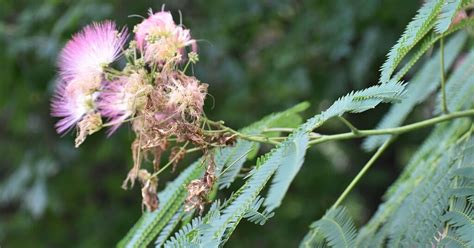 New Relation Column Type Hierarchies Doc Show And Tell Coda Maker Community