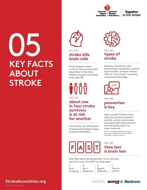 Infographic Facts