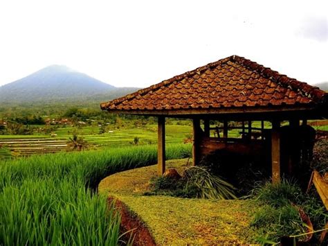 Безкоштовна картинка Пшениця сільське господарство ферми краєвид Сфера небо сільські