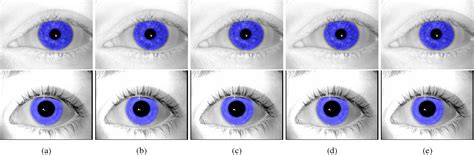 Iris Recognition With Image Segmentation Employing Retrained Off The