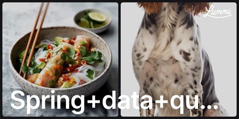 Springdataquery Images — Free Hd Download On Lummi