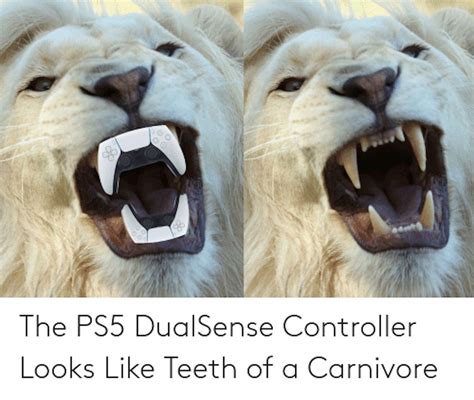 10 Ps5 Controller Memes That Are Too Funny