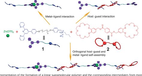 Figure 1 From Supramolecular Polymers Constructed By Orthogonal Self Assembly Based On Host