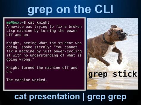 Cli Wizardry A Friendly Intro To Sedawkgrep Ppt