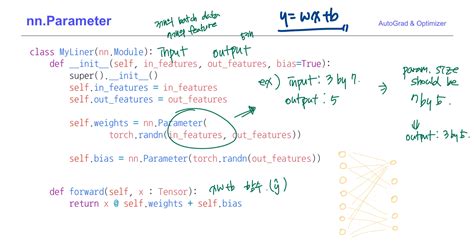 Pytorch Autograd And Optimizer