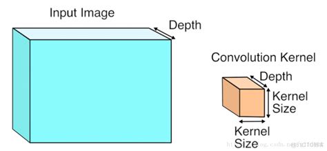 Pytorch反向函数如何主动调用 Pytorch反向传播原理mob6454cc62b754的技术博客51cto博客