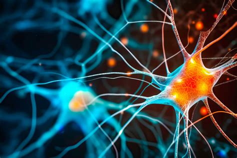 what is the default mode network