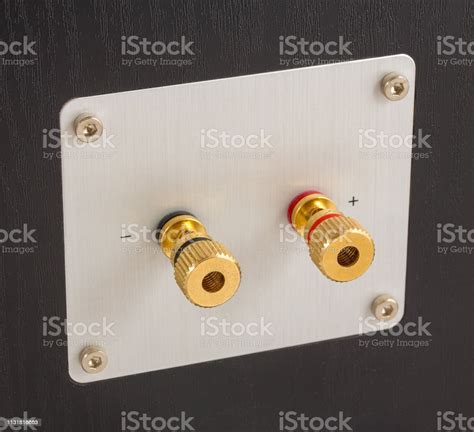 스피커 뒷면에 있는 골든 라우드 스피커 출력 단자 스피커 시스템의 뒷면에 케이블 또는 와이어를 연결 하기 위한 커넥터 스피커에