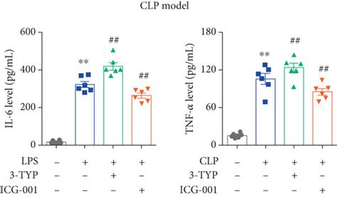 The Dissociation Of Ve Cadherinβ Catenin Complex And The Activation Of Download Scientific