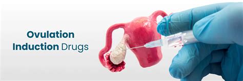 Ovulation Induction Drugs Types Success And Side Effects