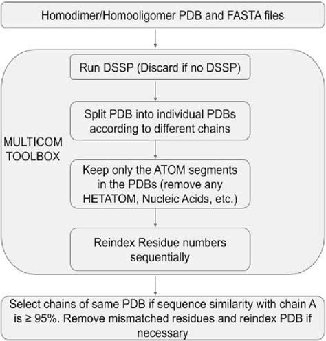 Diagram Describing How The Input Pdb File Was Pre Processed Using The Download Scientific