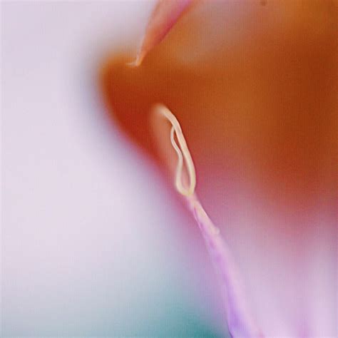 Tech Of The Town Is Good Sex The Real Moonshot The Helm