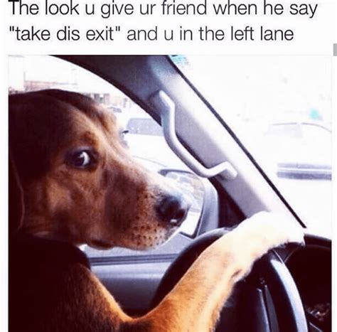 My Friends Say Take That Exit When I Pass The Exit They Tell Me To Take