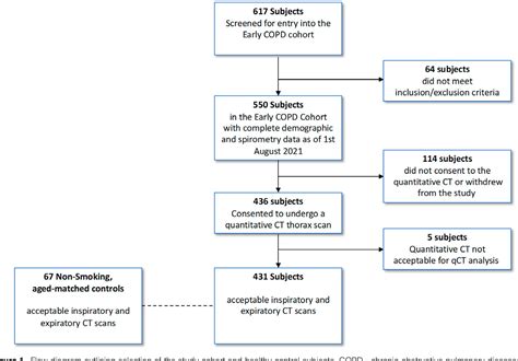 Figure 1 From Structural Predictors Of Lung Function Decline In Young Smokers With Normal