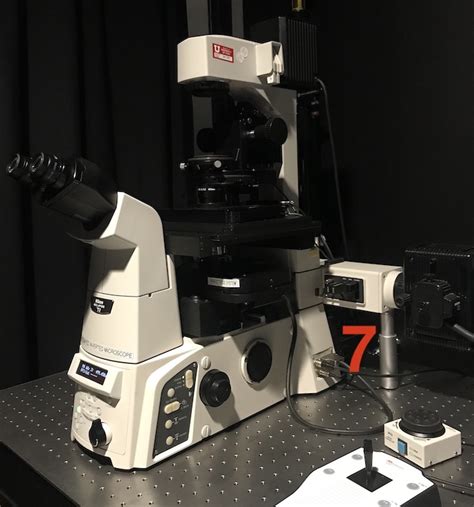 Basics Hsc Cores Bookstack Basics Hsc Cores Bookstack