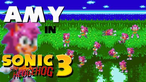 Amy Rose In Sonic The Hedgehog 3 Sonic 3 And Amy Rose Part 1 Youtube