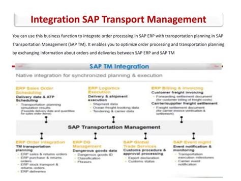 Sap S4 Hana Tm Pptx