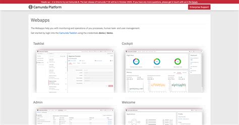 camunda integration documentation formbuilder
