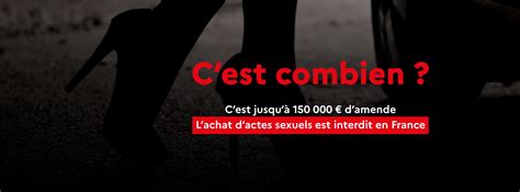 Pattes En Cavale 22 Perdue Kira Chatte Noire à Langueux 011019 Secteur Rue De Brest