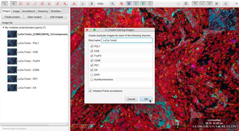 Multiplexed Analysis — Qupath 051 Documentation