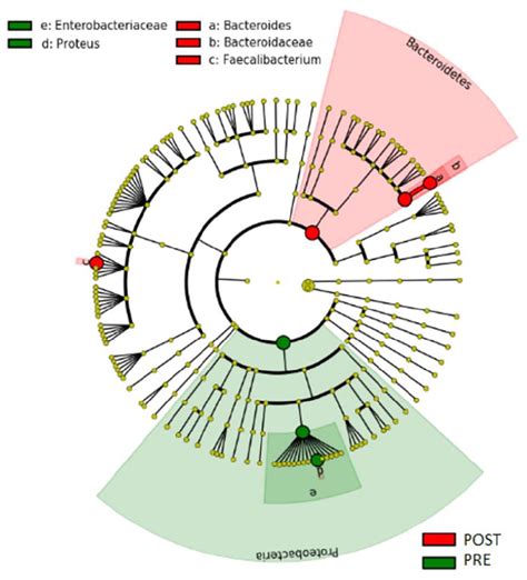 Cladogram With Different Taxa This Is A Targeted Analysis That Takes