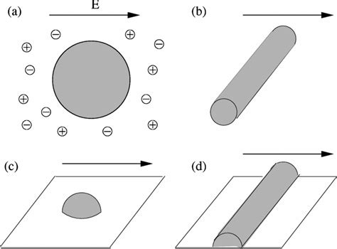 A Schematic Diagram Of Metallic Colloidal Sphere In A Binary Download Scientific Diagram