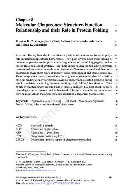 Pdf Molecular Chaperones Structure Function Relationship And Their Role In Protein Folding