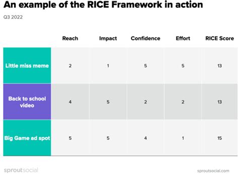 Rice Framework Template